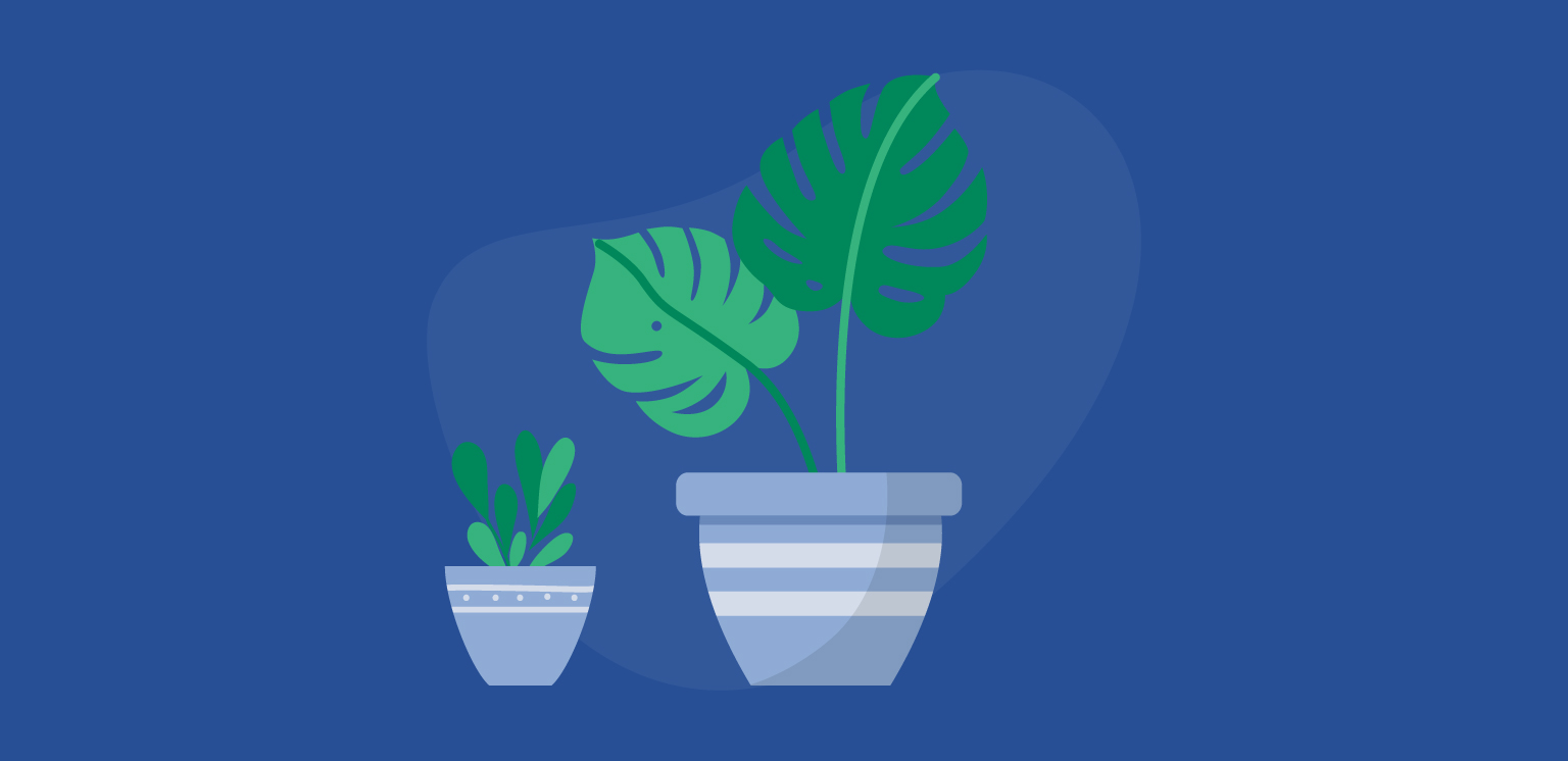 How to Ship Plants | ShippingEasy